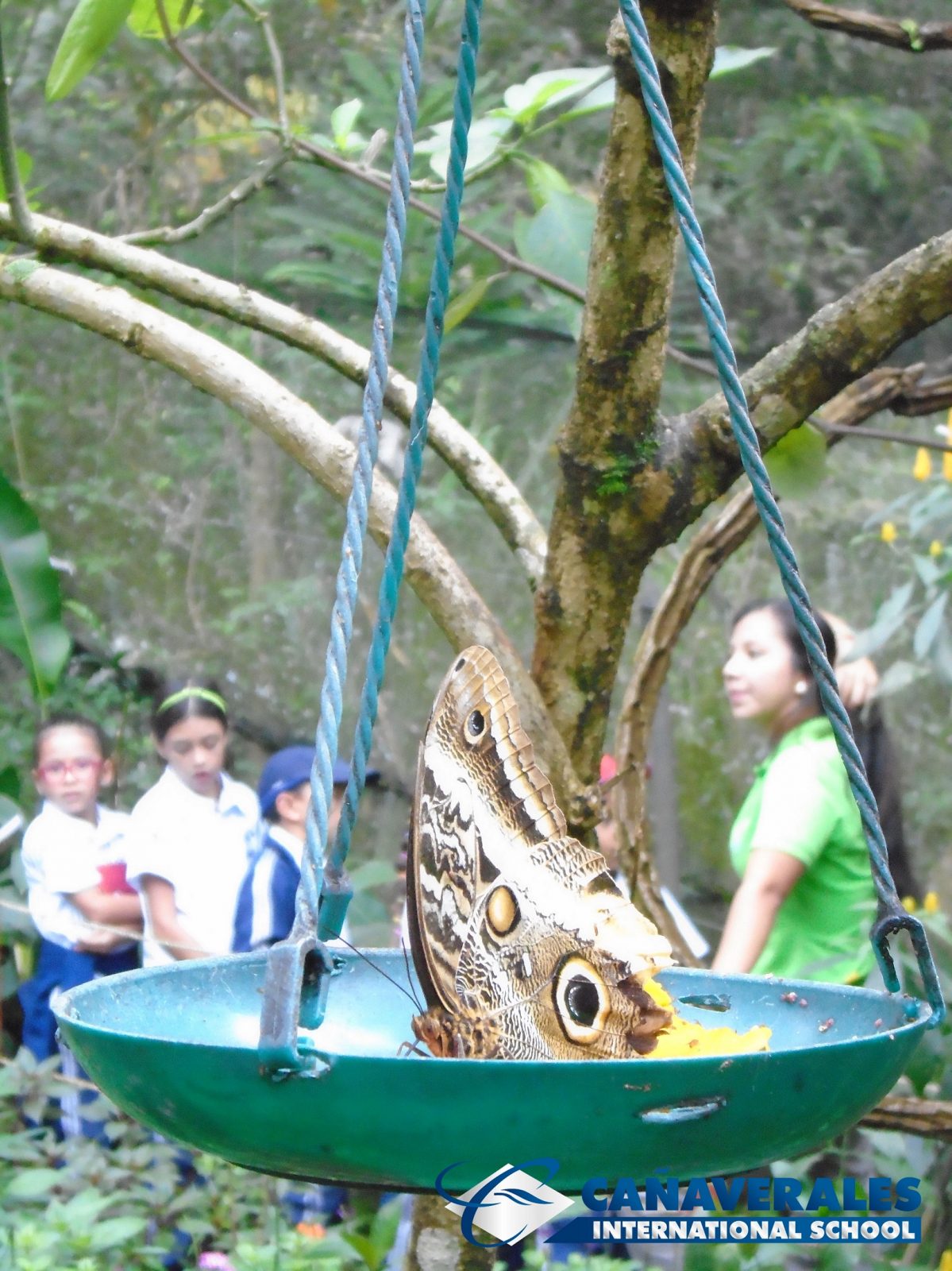 1° de Visita en Mariposario Andoke - Cañaverales International School